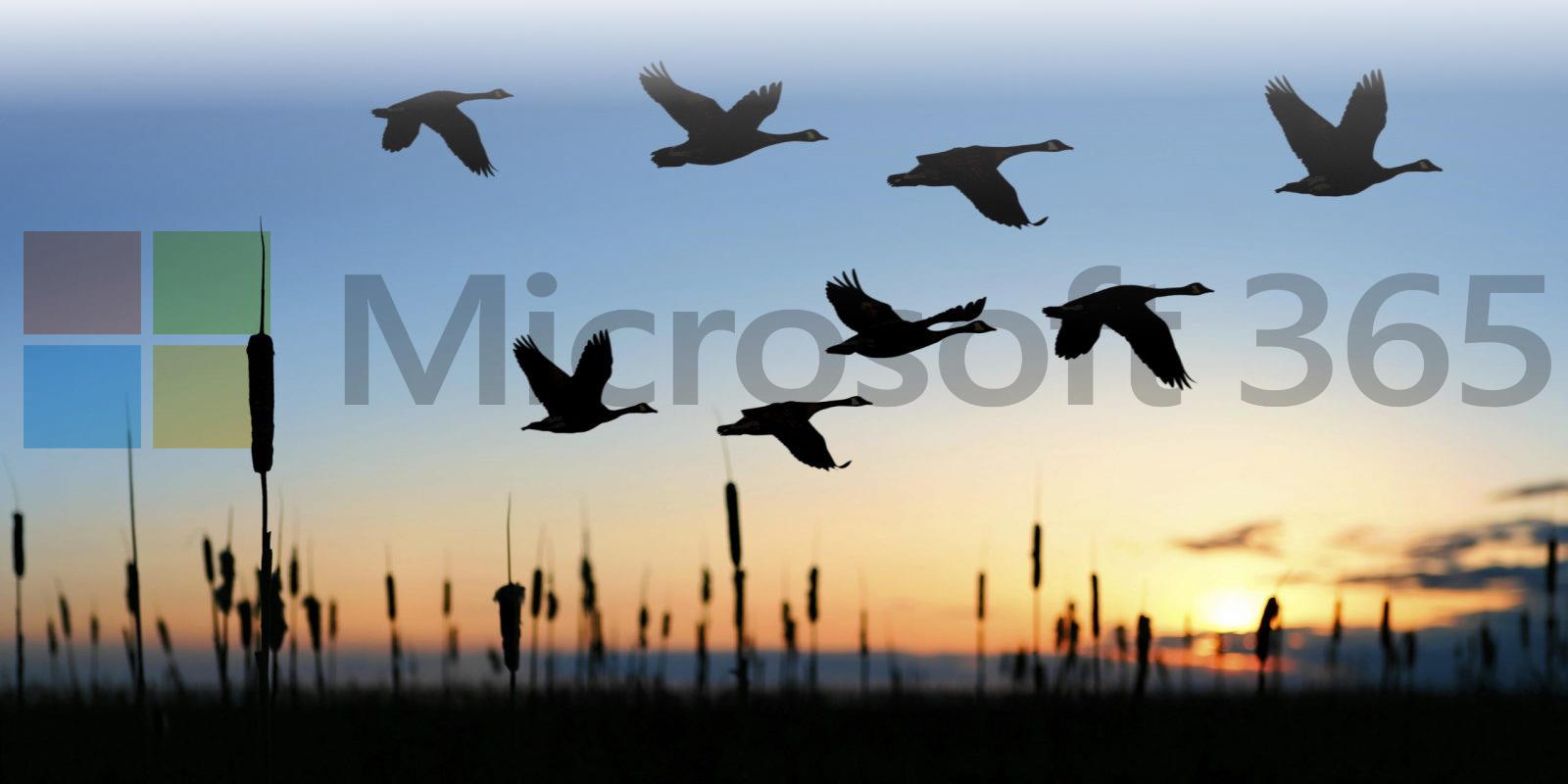 Migratie naar Microsoft 365 - CoDesk Migratie naar Microsoft 365 - CoDesk